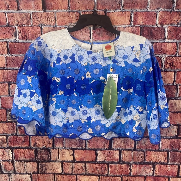 FARM Rio | Tops | Farm Rio Blue Flower Stripes Crop Top | Poshmark